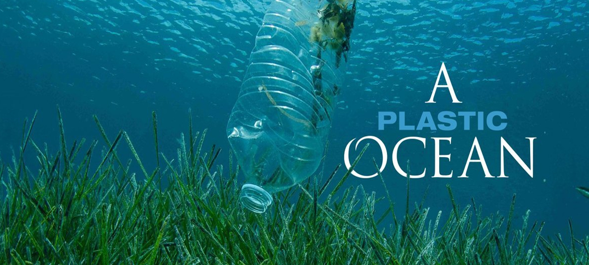 McIntyre Media Inc. - Educational & Curriculum Video